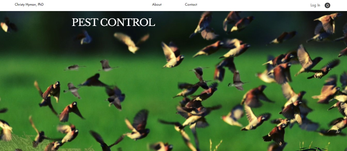 Pest Control: Exploring Birds and Environmental Consciousness – Bird ...