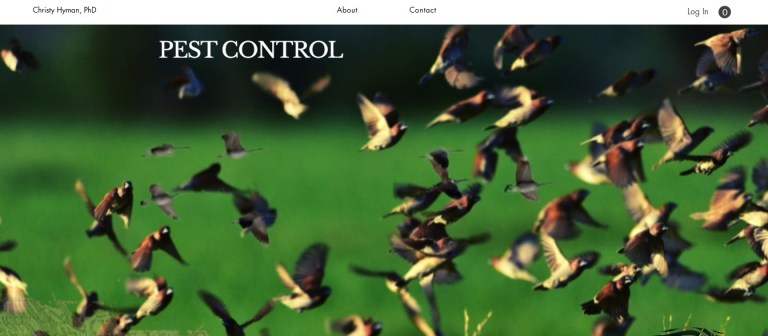 Pest Control: Exploring Birds and Environmental Consciousness – Bird ...